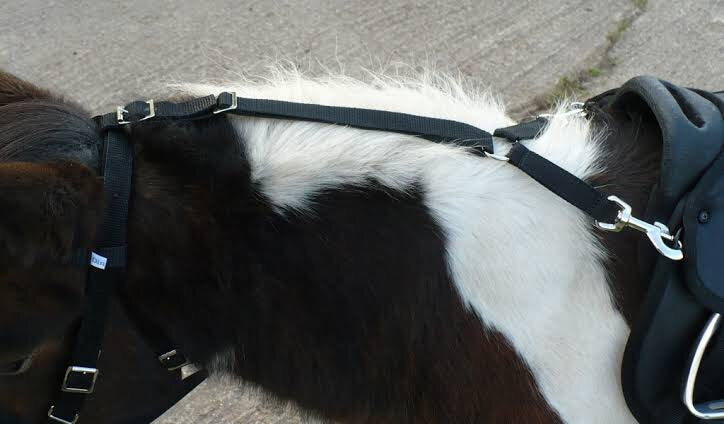 Aerborn Webbed Daisy Reins – Tack Up Equestrian